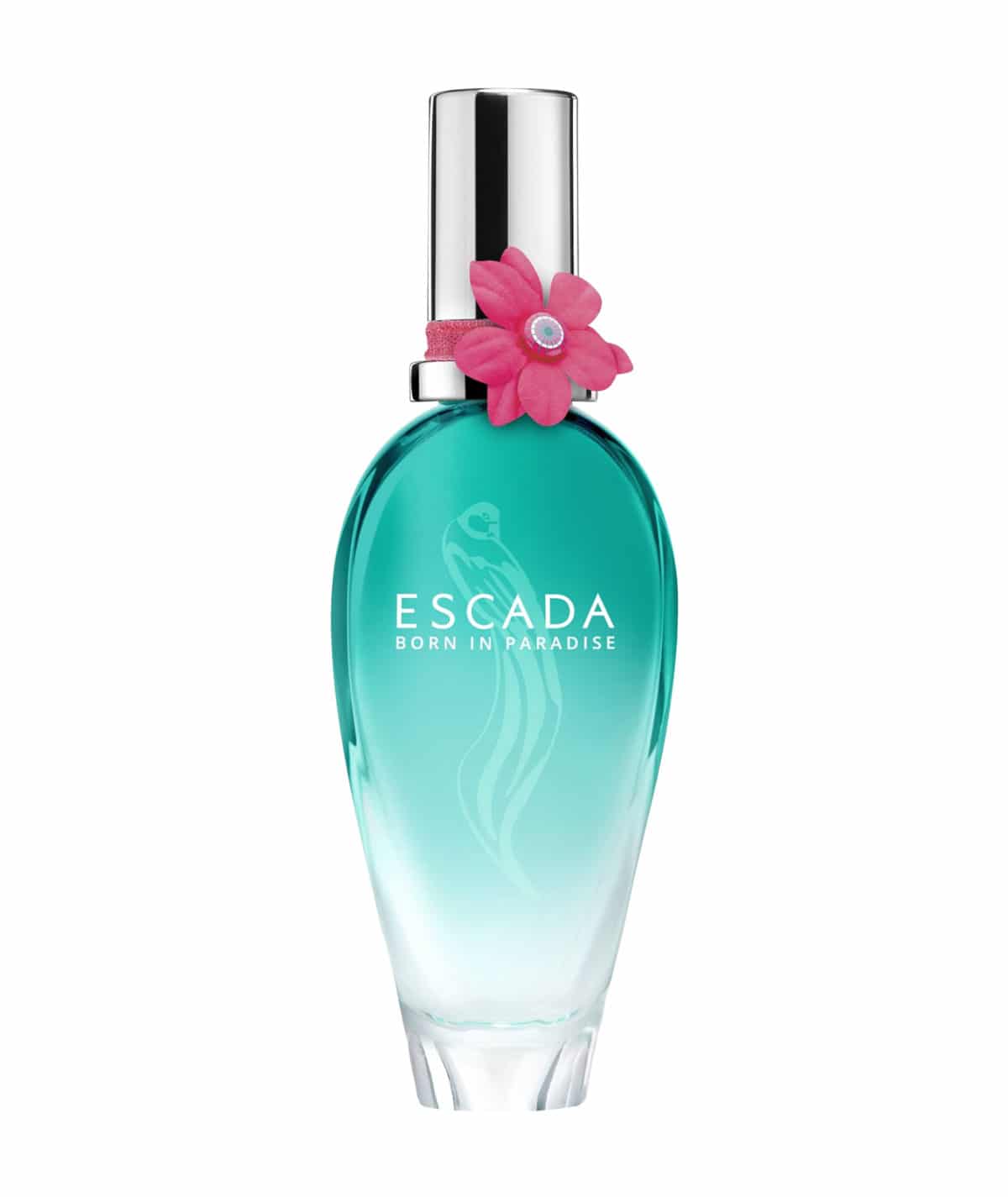 Best Escada Perfumes in 2024 - FragranceReview.com