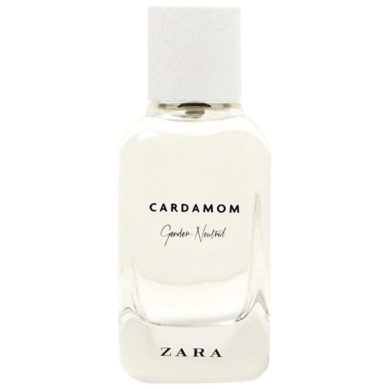Cardamom perfume by Zara - FragranceReview.com